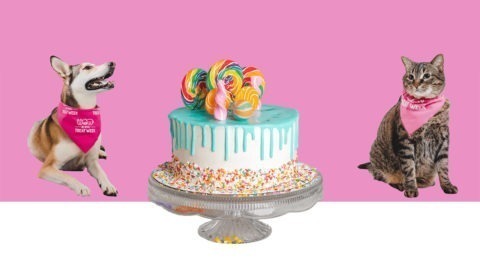 SPCA Treat Week Fundraiser and Bake Sale - Feb 27 - Trail Association ...